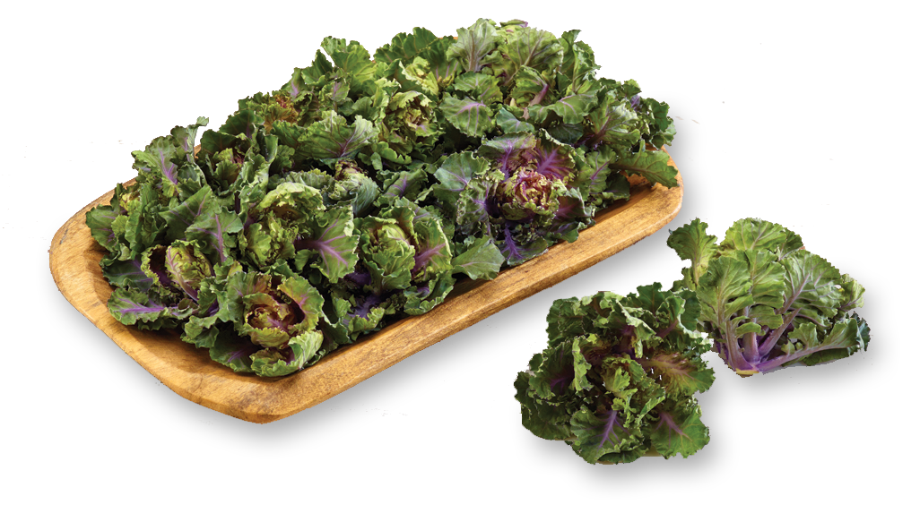 Discover Kalettes in Stepney – DATE CHANGE! – Stepney Supper Club